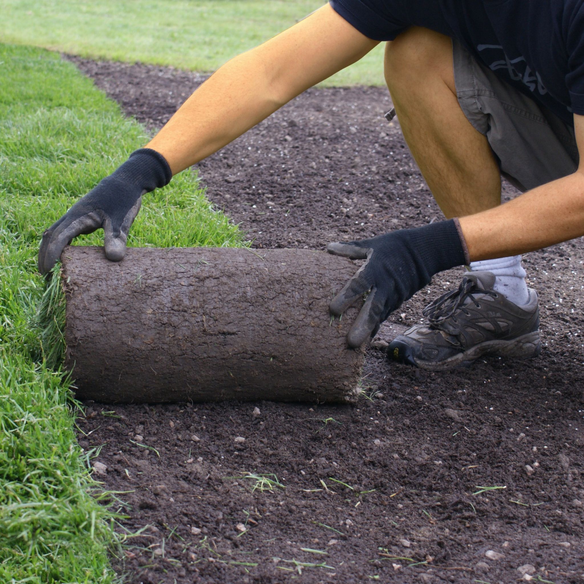 Sod Installation - Jardina Paysagiste